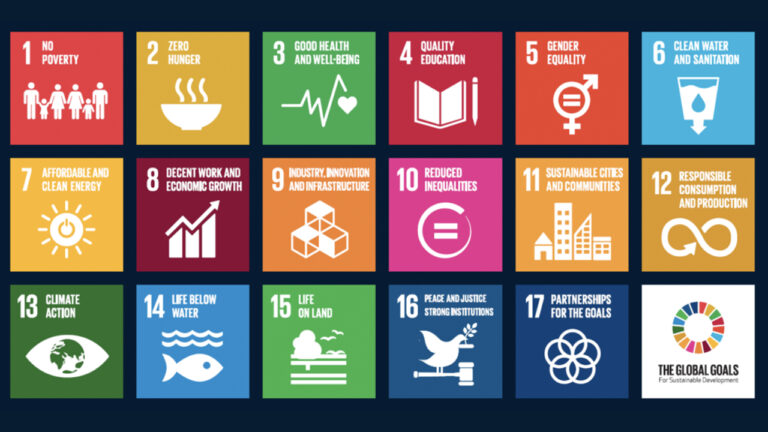Financing the Sustainable Development Goals (SDGs) from Foreign Sources ...